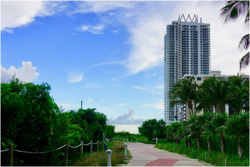 Best Places To Live In Miami - HomeRiver Group
